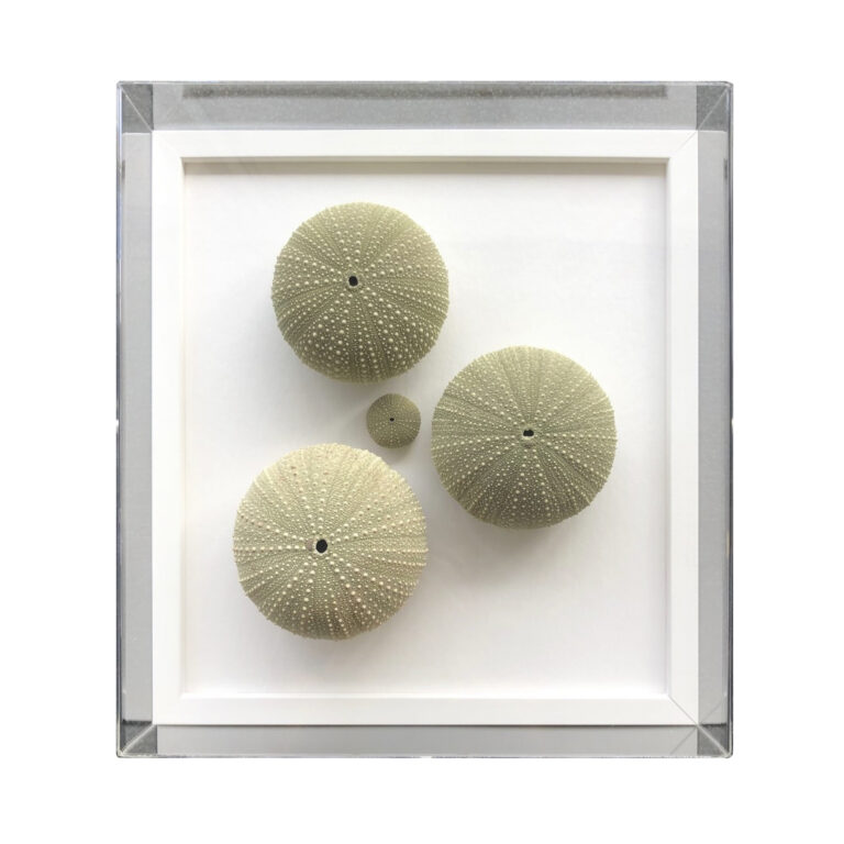 Custom Framing - Harrison Frames