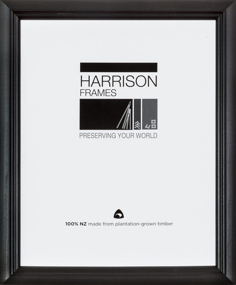 GP1 - Harrison Frames